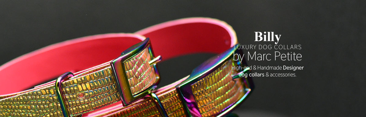 Billy Collars - Shop Online – Marc Petite