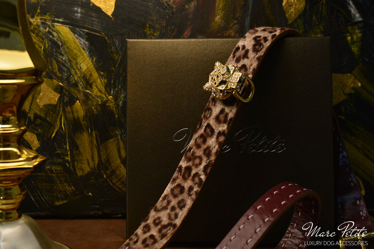 Exotique Leather Dog Collars – Marc Petite