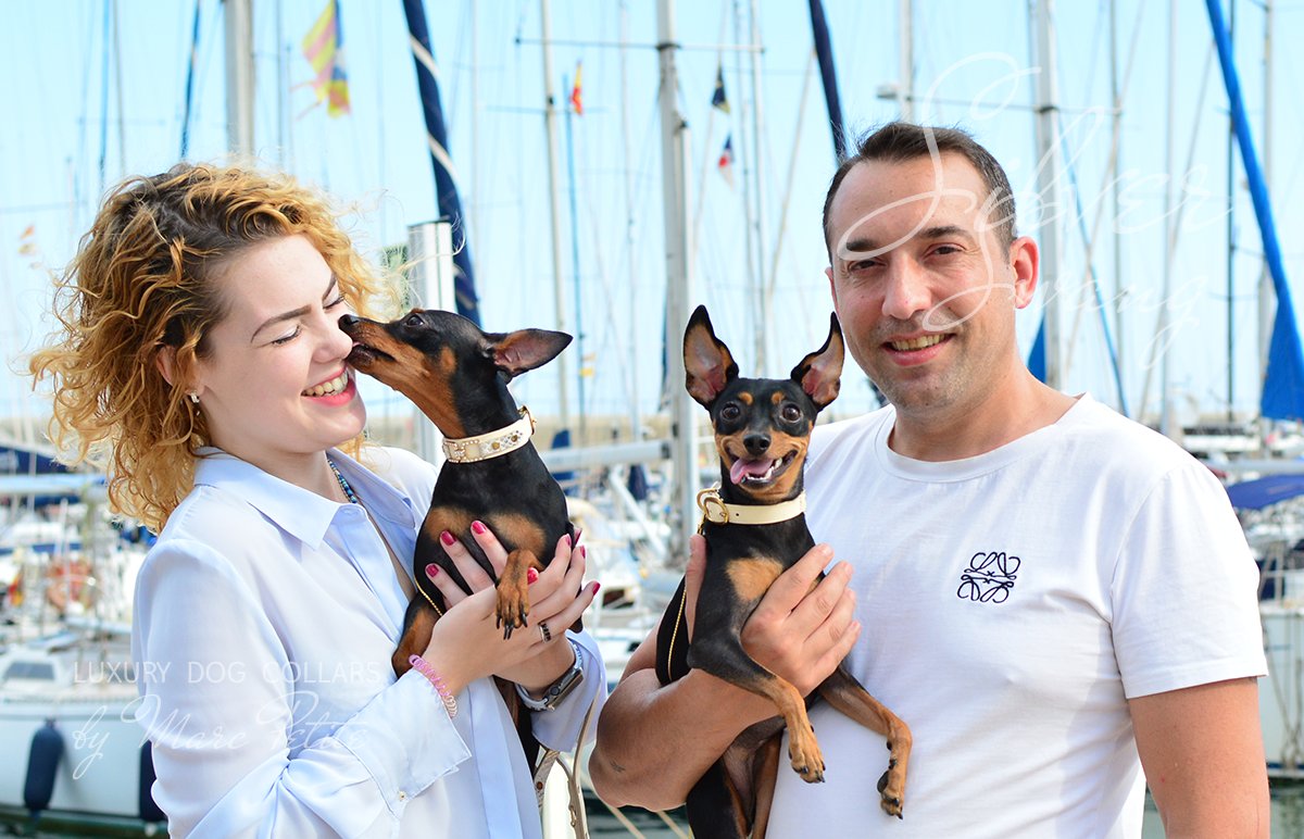 Miniature Pinscher Collars - Shop Online – Tagged "Collars for Small ...