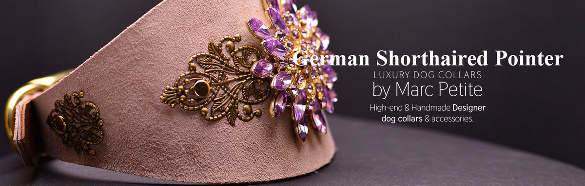 German Shorthaired Pointer Collars - Shop Online – Marc Petite