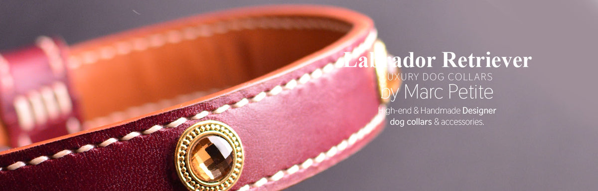 Labrador Retriever Collars - Shop Online – Marc Petite