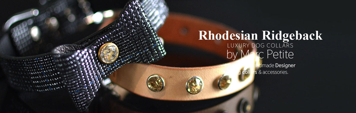 Rhodesian Ridgeback Collars - Shop Online – Marc Petite