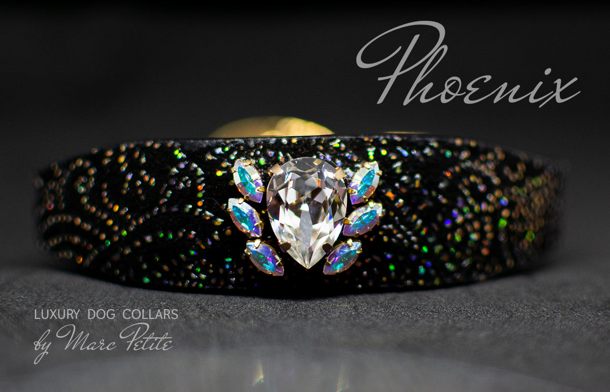 Phoenix Dog Collar - Swarovski Dog Collar – Marc Petite