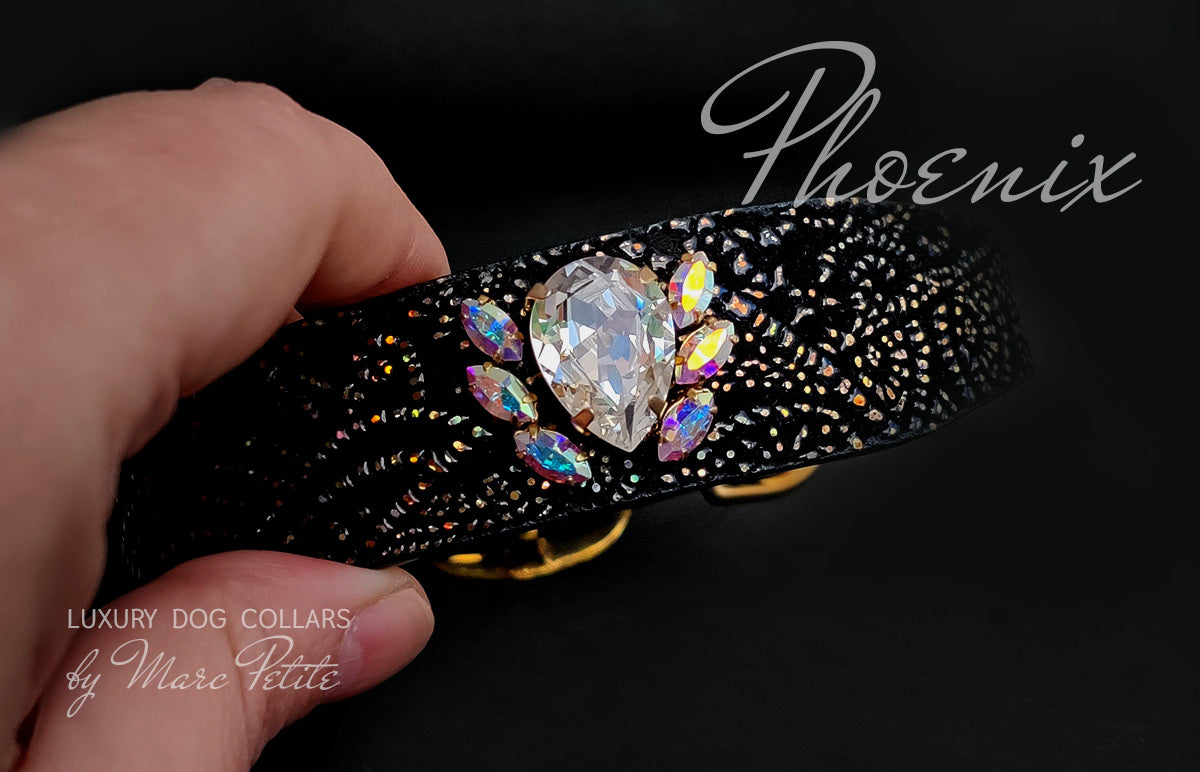 Phoenix Dog Collar - Swarovski Dog Collar – Marc Petite