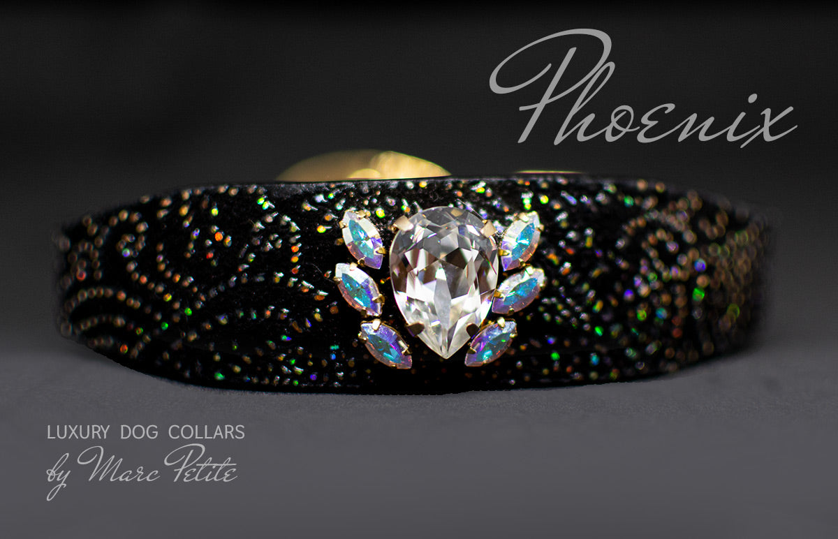 Phoenix Dog Collar - Swarovski Dog Collar – Marc Petite