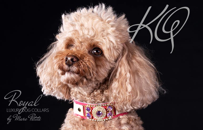 Royal KQ - luxury, royal style, dog collar - by Marc Petite